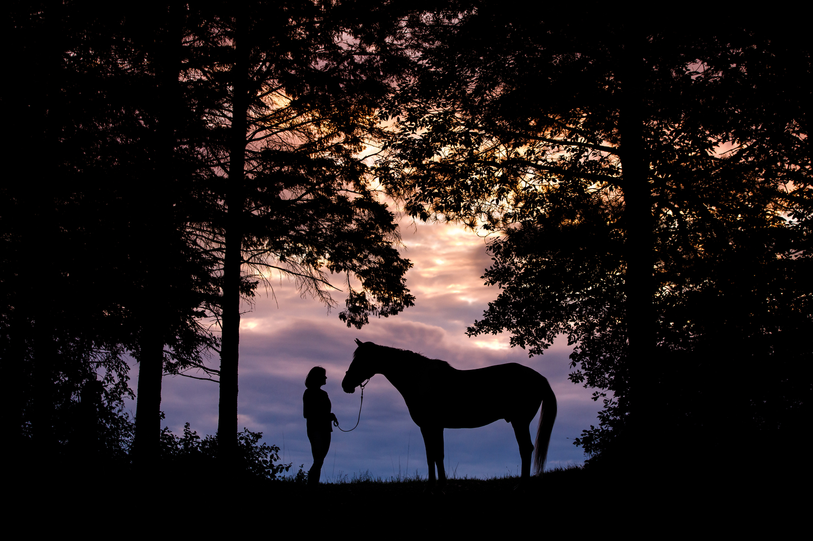 Home - Equus Planning